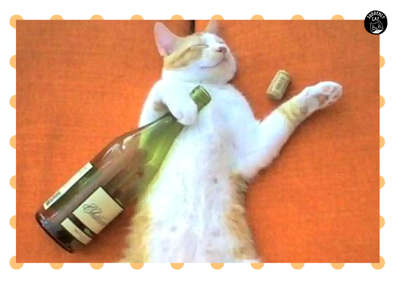 The Cat Blog | 10 Common Food That Are Dangerous (TOXIC!) To Cats