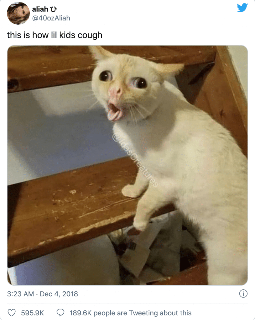 10 Of The Most Famous Cat Memes As Of 2020 Grumpy Cat Lives On 